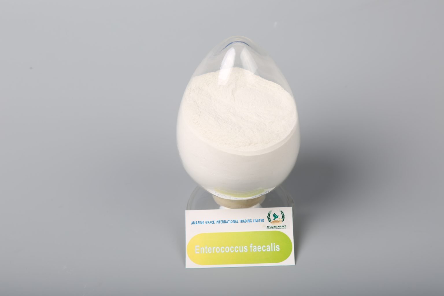 Enterococcus Faecalis（Feed Probiotics） – AMAZING GRACE INTERNATIONAL ...